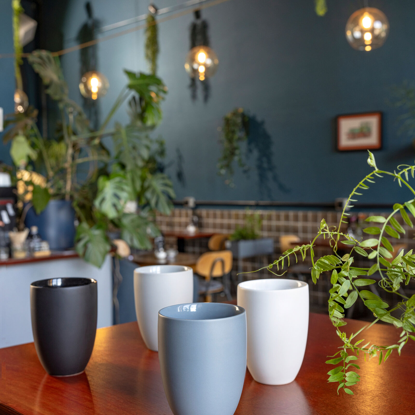 Rosenthal Porzellan Set 4 Becher Doppelwandig The Mug Mixed
